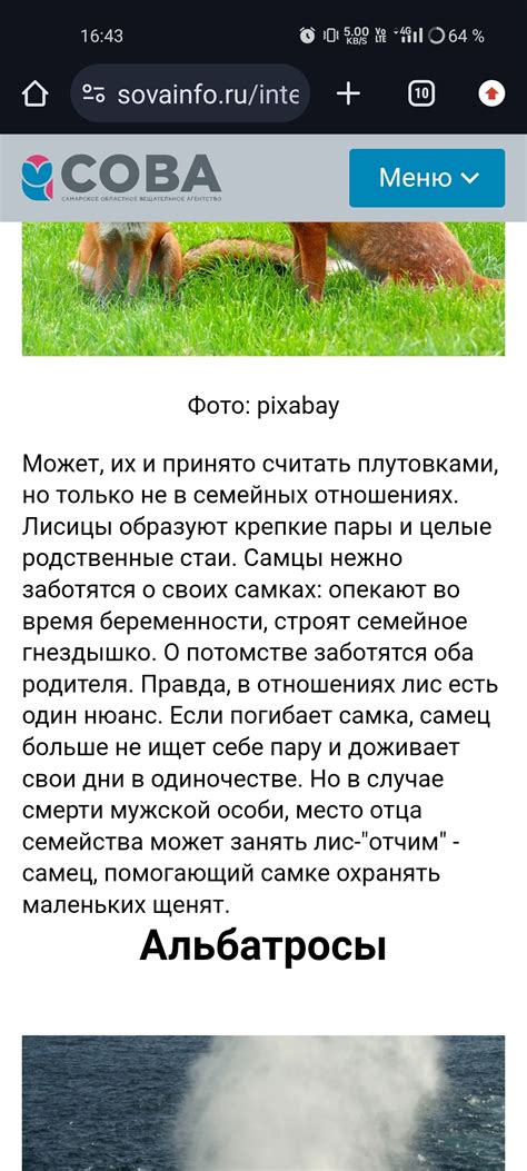 Fox Лиса Bite Ухожор кусь кусь кусь живность Fandoms фэндомы