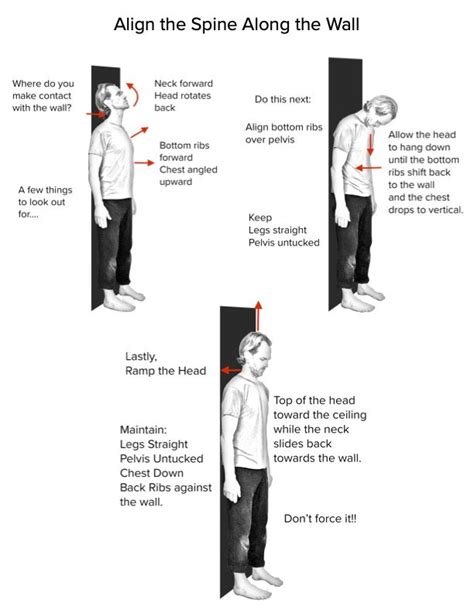 Neutral Spine — In Aligned Movement
