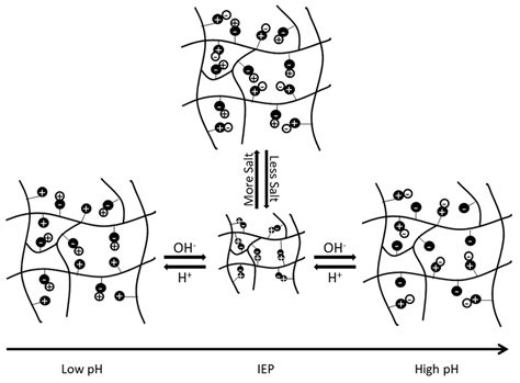 Gels Free Full Text Polyampholyte Hydrogels In Biomedical Applications