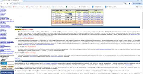 haproxy搭建web群集 csdn博客