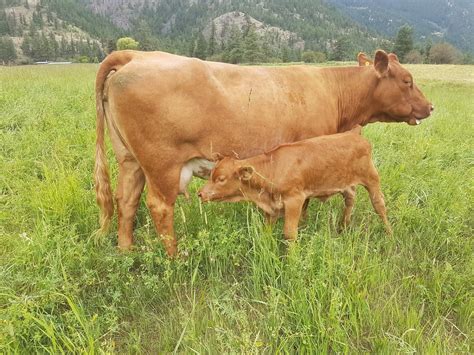 20200622 101620 — Postimages