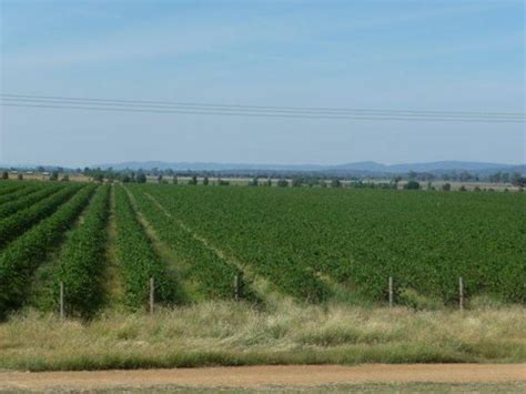 Billimari Nsw Other For Sold Au