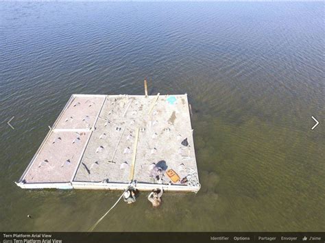 Tern Platform Aerial View Shediac Bay Watershed Association