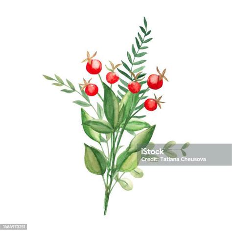 추상적인 녹색 가지와 붉은 열매의 수채화 여름 꽃다발 식물 손으로 그린 그림입니다 인사말 카드 초대장 꽃 무늬 디자인에 사용할 수 있습니다 그리기에 대한 스톡 벡터 아트 및