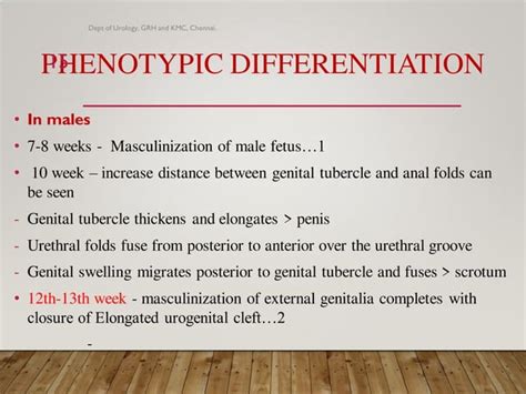 Pediatric Urologydisorders Of Sexual Differentiation Pdf