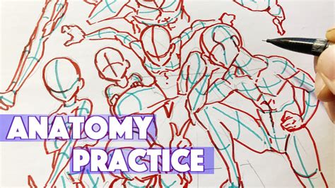 Drawing Anime Anatomy Practice Sketchbook Drawing Anime Manga Sketch Youtube