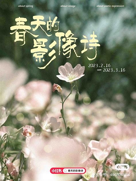 小红书ugc活动春天影像诗