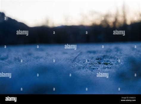 Freiburg Germany 11th Jan 2025 Frost Can Be Seen On The Grasses On