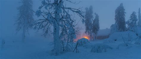 Kalte Warme Winternacht Foto And Bild Winter Schnee Baum Bilder Auf
