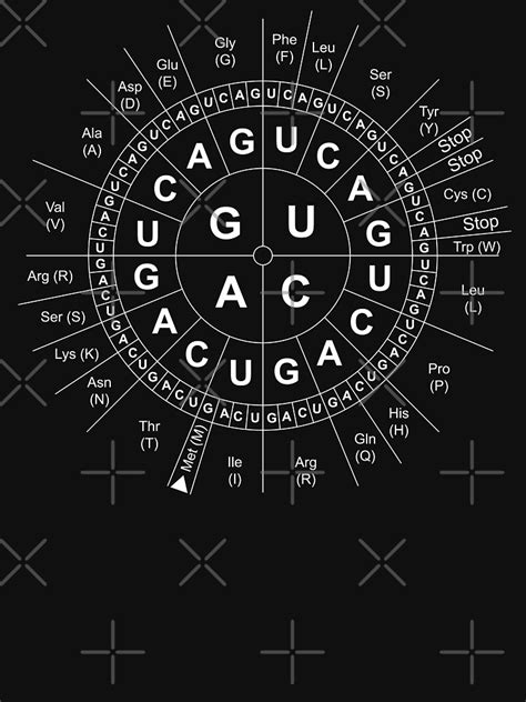 Genetic Suncodon Wheelgeneticsbiologyscience T Shirt By