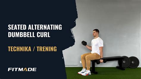 Seated Alternating Dumbbell Curl Jak Zrobić Trening I Plan Treningowy Fitmade