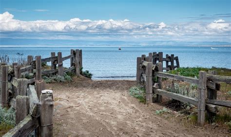 9 Best Beaches In And Around Monterey California Celebrity Cruises