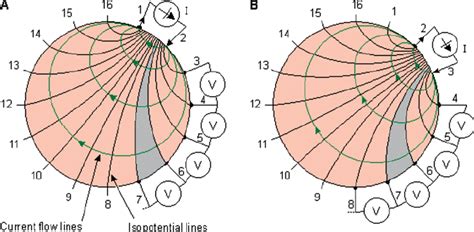 Eit Injection And Measurement Protocols For The First A And Second Download Scientific