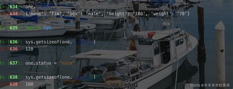 Python优化之 Slotpython Slot Csdn博客