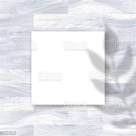 회색 나무 배경에 빈 흰색 정사각형 종이 시트와 식물 그림자 오버레이가 있는 벡터 모형 웹 포트폴리오를 위한 트렌디한 포트폴리오 빈 공간 배경 포스터 모형 프레젠테이션 0