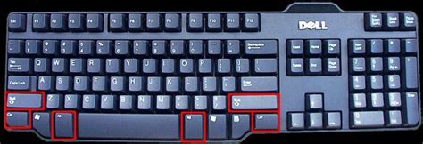 Introduction To Ict Python Programming → Input Devices In Computer Cuitutorial