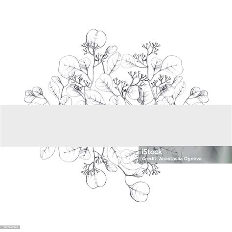 Yand 드로잉 꽃 테두리 봄과 여름에 피는 허브가있는 꽃 수평 배너 공휴일에 대한 스톡 벡터 아트 및 기타 이미지 공휴일 관목 꽃 나무 Istock