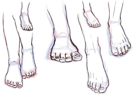 Toes Line Drawing