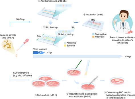 Rapid Antimicrobial Susceptibility Tests Performed By Self Diluting