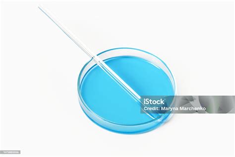 파란색 청록색 액체가 있는 실험실용 페트리 접시 피펫 유리관 흰색의 밝은 배경 0명에 대한 스톡 사진 및 기타 이미지 0명 Stem 주제 개발 Istock