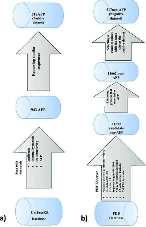 Schematic Representation Of Afp517 Dataset Construction A Positive