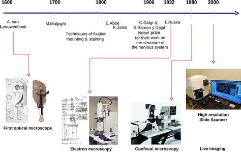 Microscopy Research And Technique Microscopy Journal Wiley Online