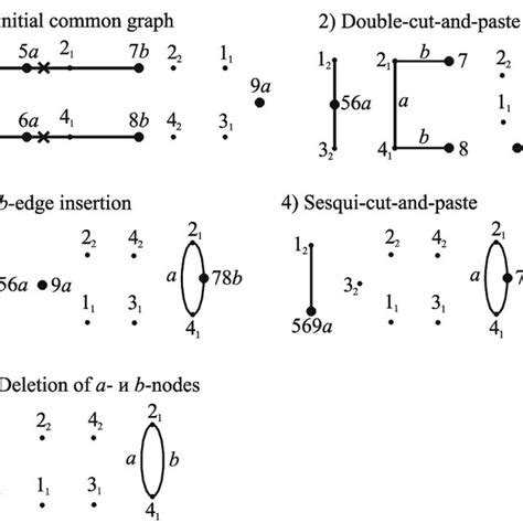 Shortest Sequence Of Structures And Operations In The Case Of Circular