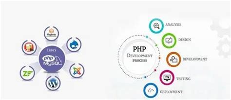 static website designing services at ₹ 12000 pack in raipur