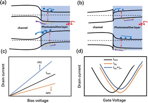 Photogating Effect Of Low Dimensional Materials A Photocarriers In