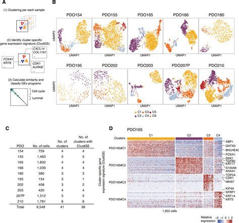 Transcriptomic Intratumor Heterogeneity Of Breast Cancer Patient Derived Organoids May Reflect
