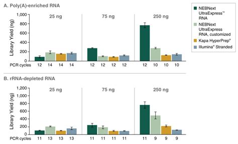 Nebnext Ultraexpress® Rna Library Prep Kit Neb