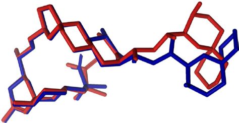 Crystallographic Structure Of Okadaic Acid In Blue Superimposed With