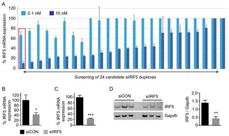 In Vivo Silencing Of The Transcription Factor Irf5 Reprograms The Macrophage Phenotype And