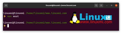 Linux 中使用 Less,more 和 Most 命令来读取文本文件 Linux迷 Linux 中使用 Less,more 和 Most 命令来读取文本文件 Linux迷