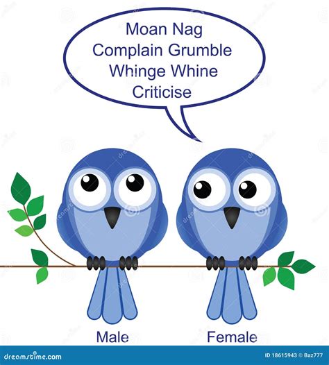 Sex Of Birds Stock Vector Illustration Of Determine