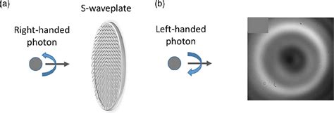 Generation And Decomposition Of Scalar And Vector Modes Carrying Orbital Angular Momentum A Review