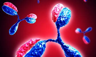 Bioanalysis Of Antibody Drug Conjugates ADCs By LC MS Challenges And Solutions Frontage