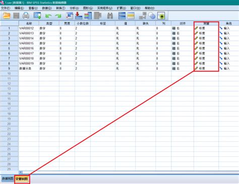 SPSS软件中如何进行神经网络分析 SPSS神经网络为什么无法选择分类 IBM SPSS Statistics 中文网站