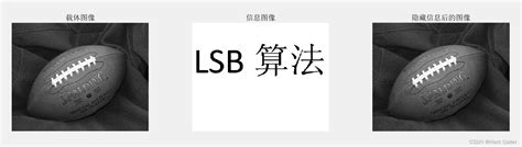 图像处理之lsb matching revisited论文复现 lsb匹配算法 csdn博客