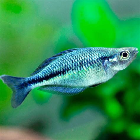 Heevis Heevis Added A New Photo