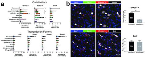 A A Publicly Available Single Cell Transcriptomic Dataset 64 Was