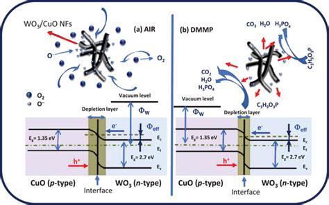 Schematic Representation Of The Reaction Of Wo3cuo Nfs With Oxygen And