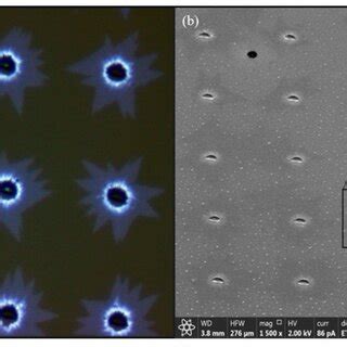 A OM Image B SEM Image And C Partial Enlarged View Of B Download Scientific Diagram
