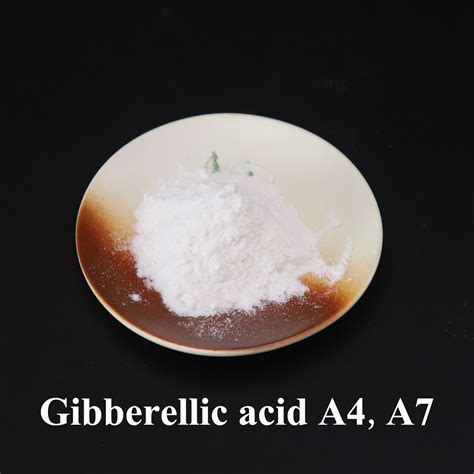 Water Soluble Gibberellic Acid Ga4 7 2026 Ga3 90 Tc Gibberellic Acid