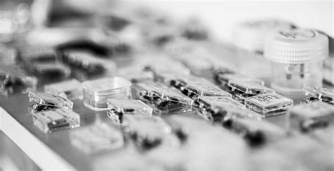 Lab Snapshots Quantum Optoelectronics Group Eth Zurich