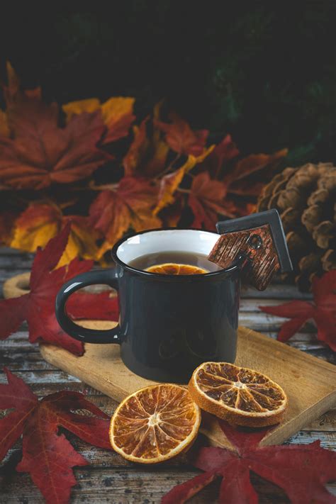 가을 가정의 편안함 감귤류 계절 계절 장식 계피 고요한 껴안다 나무 쟁반 니트 담요 따뜻한 음료 따뜻한 음색 따뜻함 떨어지다 러스틱 레몬 레몬