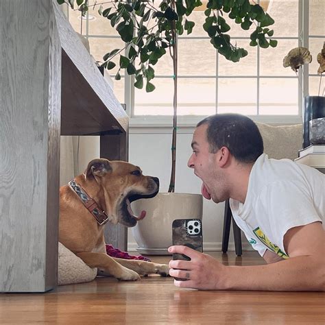 return to the blob universe pt 1 continuing the highly requested