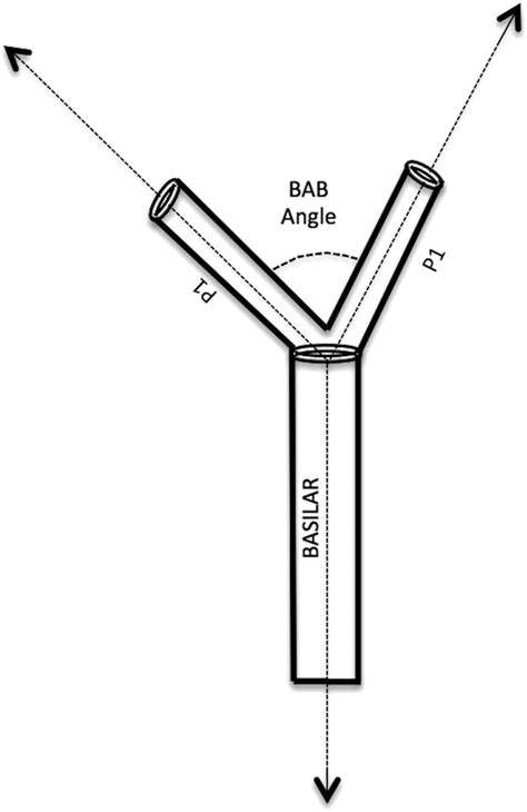Angles Of Arterial Bifurcation Neurosurgery Blog