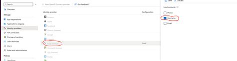 Asp Net Core GraphServiceClient Returning User Object With Missing