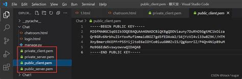 前后端跨语言rsa加解密和签名验证实现（jspython）js 参数签名验证 Csdn博客